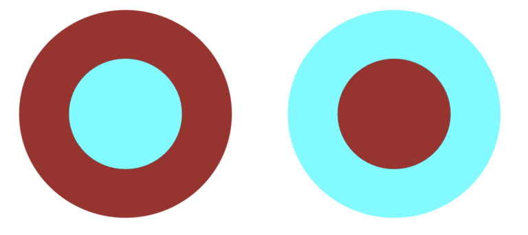 補色とは何か？実例で解説（Complementary Colors） - フォトーン（Photoone｜ふぉとーん）