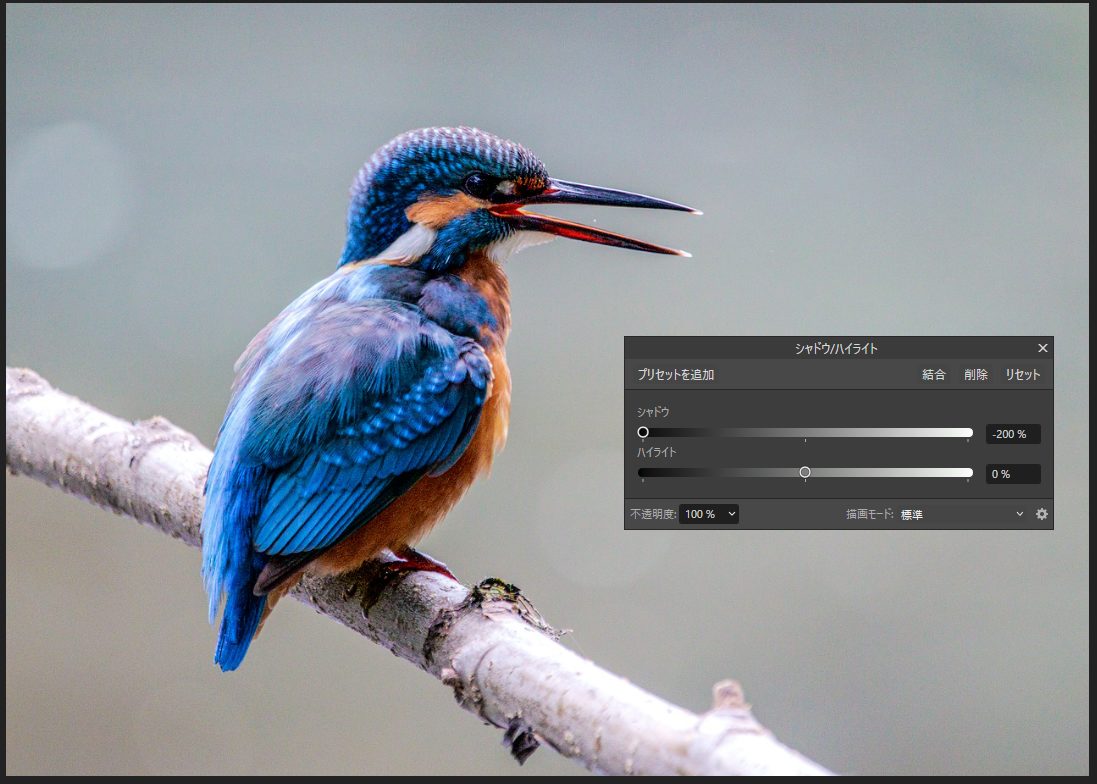 【画像・動画編集】明るさとコントラストやハイライトとシャドーの違いは何か？実例で解説（画像編集/画像処理） - フォトーン（Photoone ...